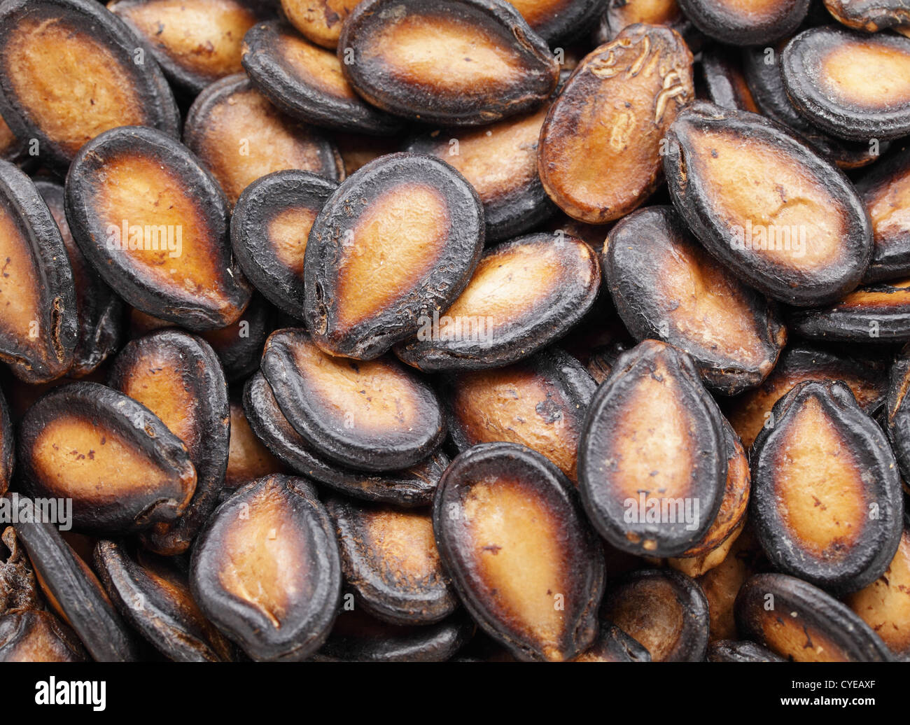 White seed melon hi-res stock photography and images - Alamy