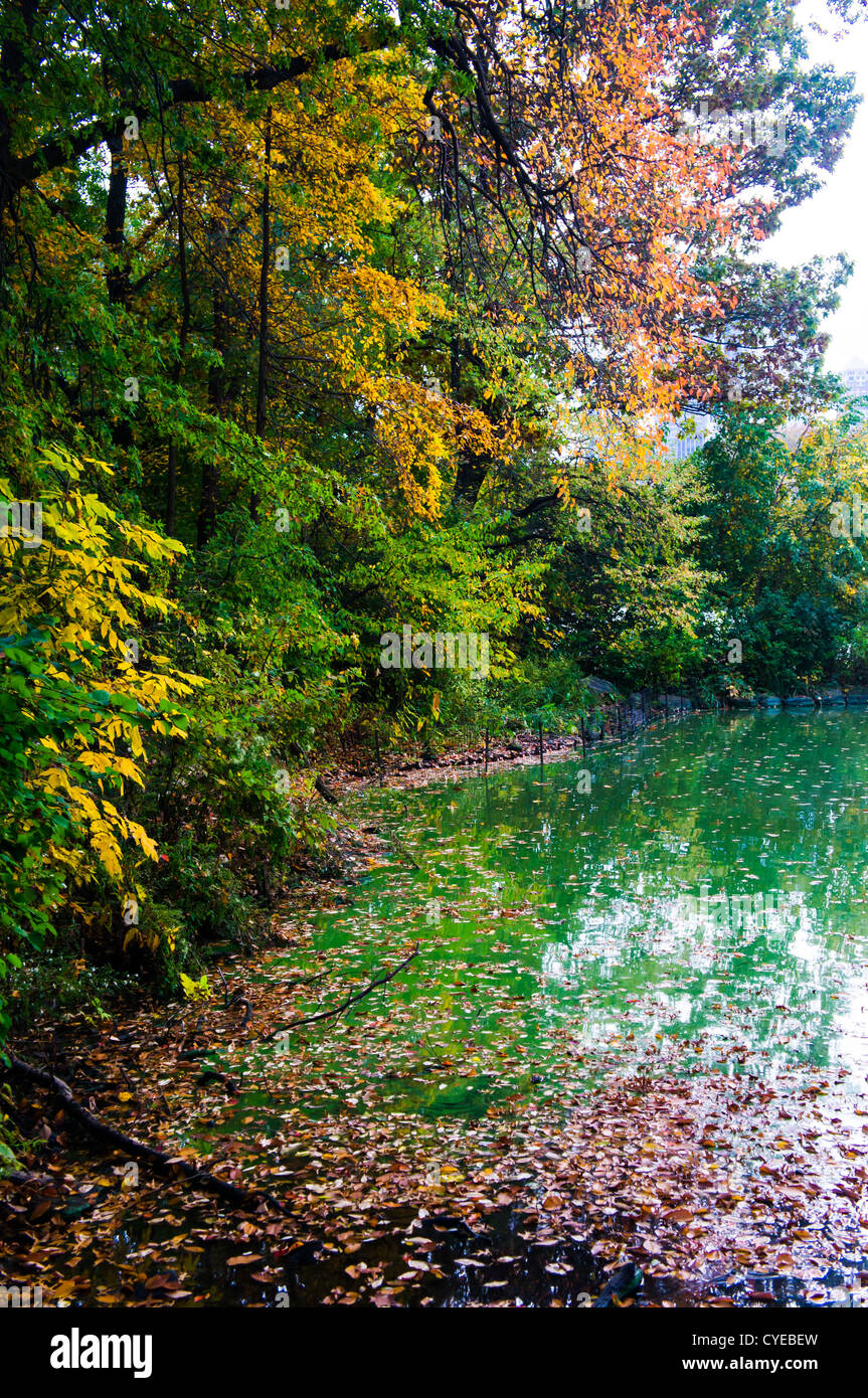 Autumn in new york movie hi-res stock photography and images - Alamy