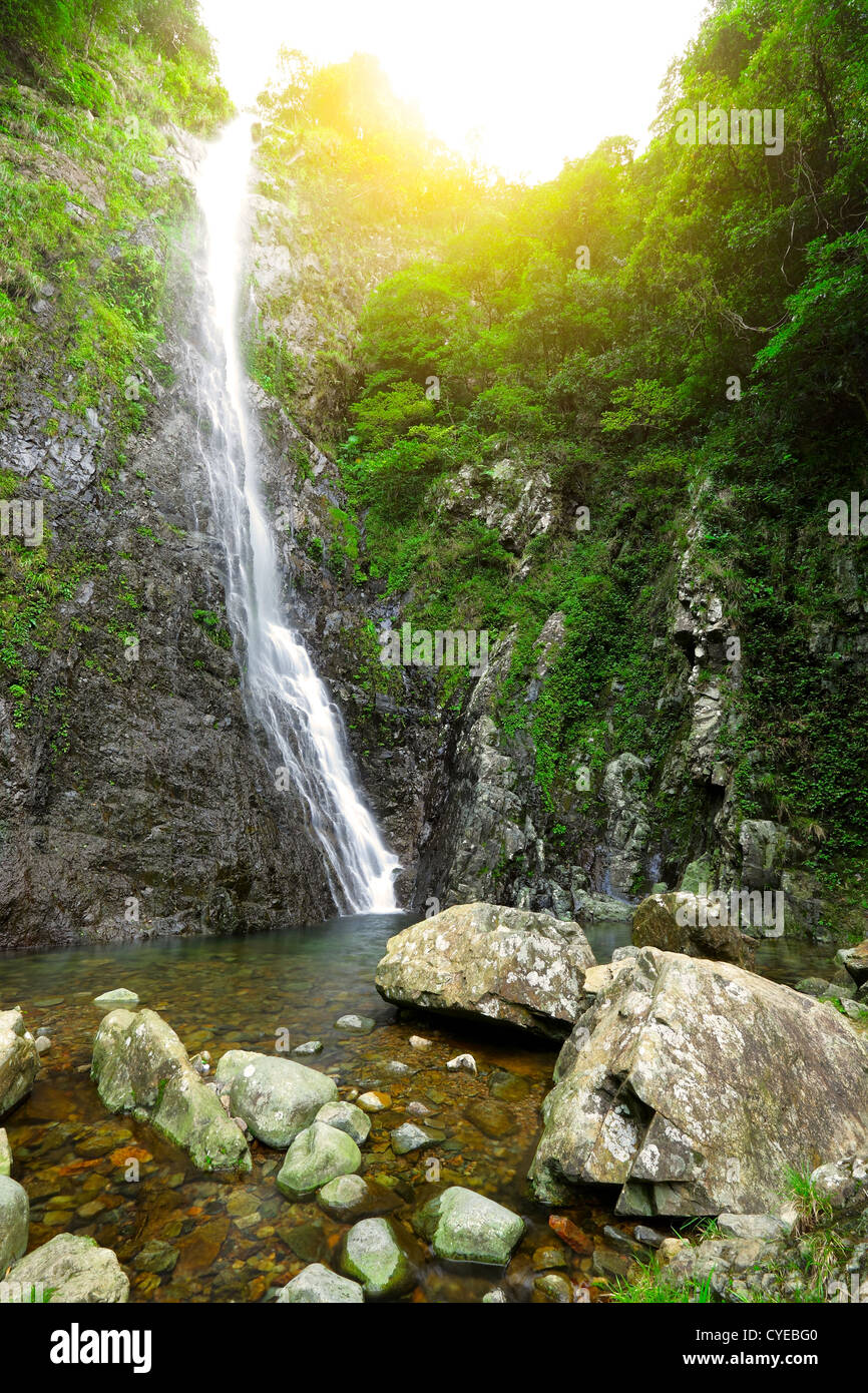waterfall in forest Stock Photo - Alamy