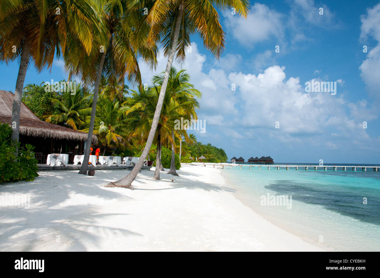 White sandy beach and beautiful blue lagoon, Maldives Stock Photo - Alamy