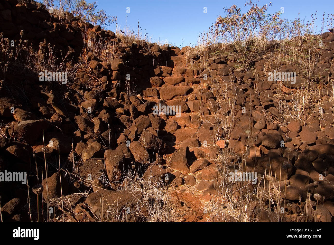 Elk284-7308 Hawaii, Kauai, Russian Fort Elizabeth SHP, 1817, ruins ...
