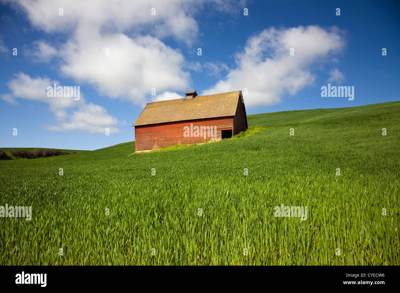 Wheat field barn farm hi-res stock photography and images - Alamy