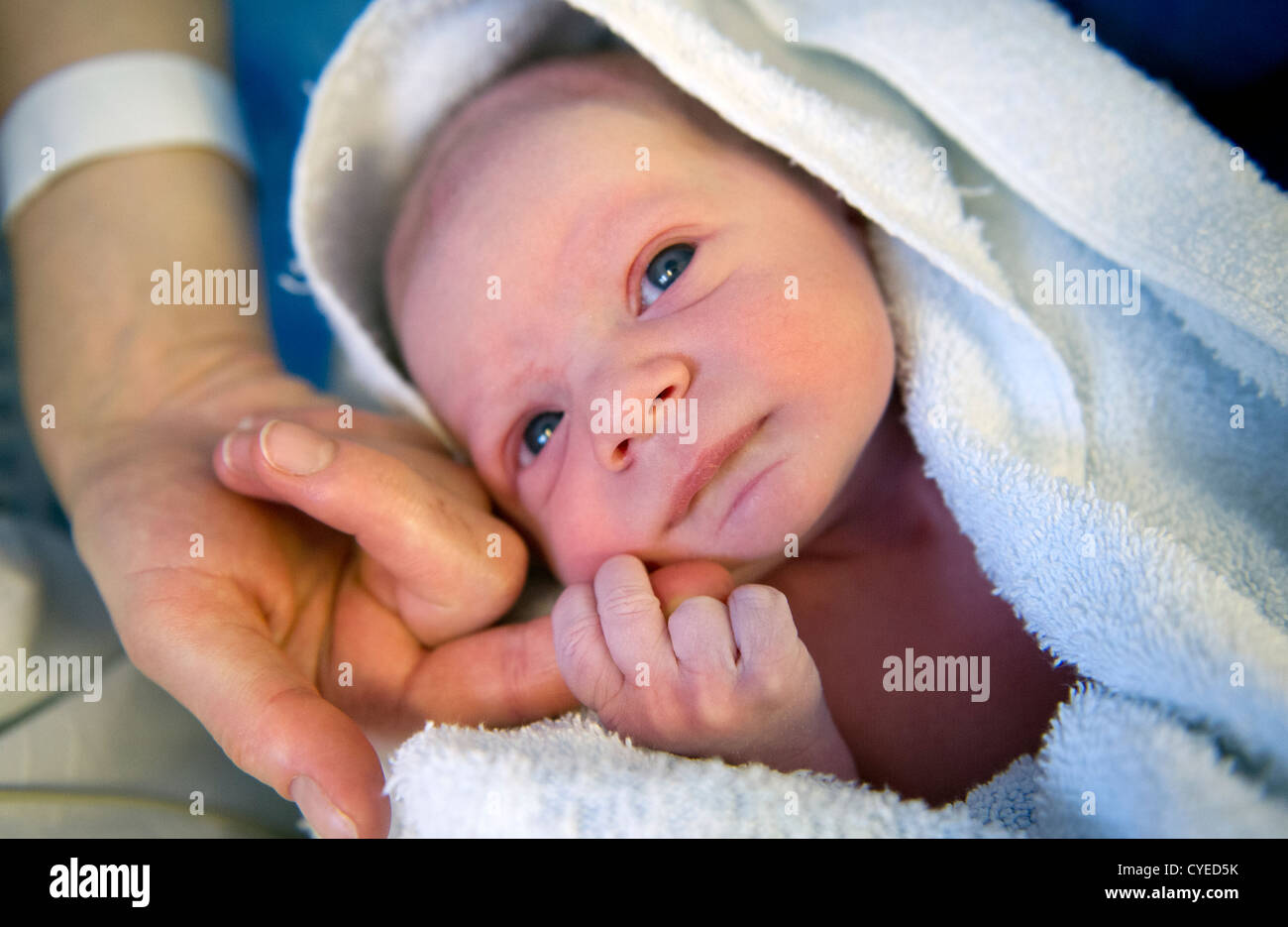 A new born baby touches holds mother for the first time moments after ...