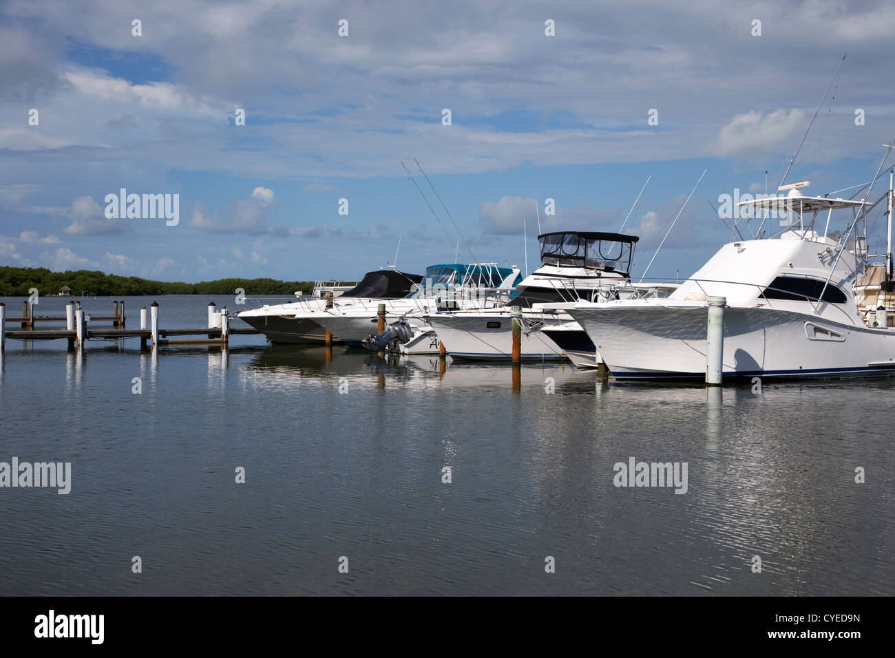 wooden jetty and sports boats islamorada florida keys usa Stock Photo ...