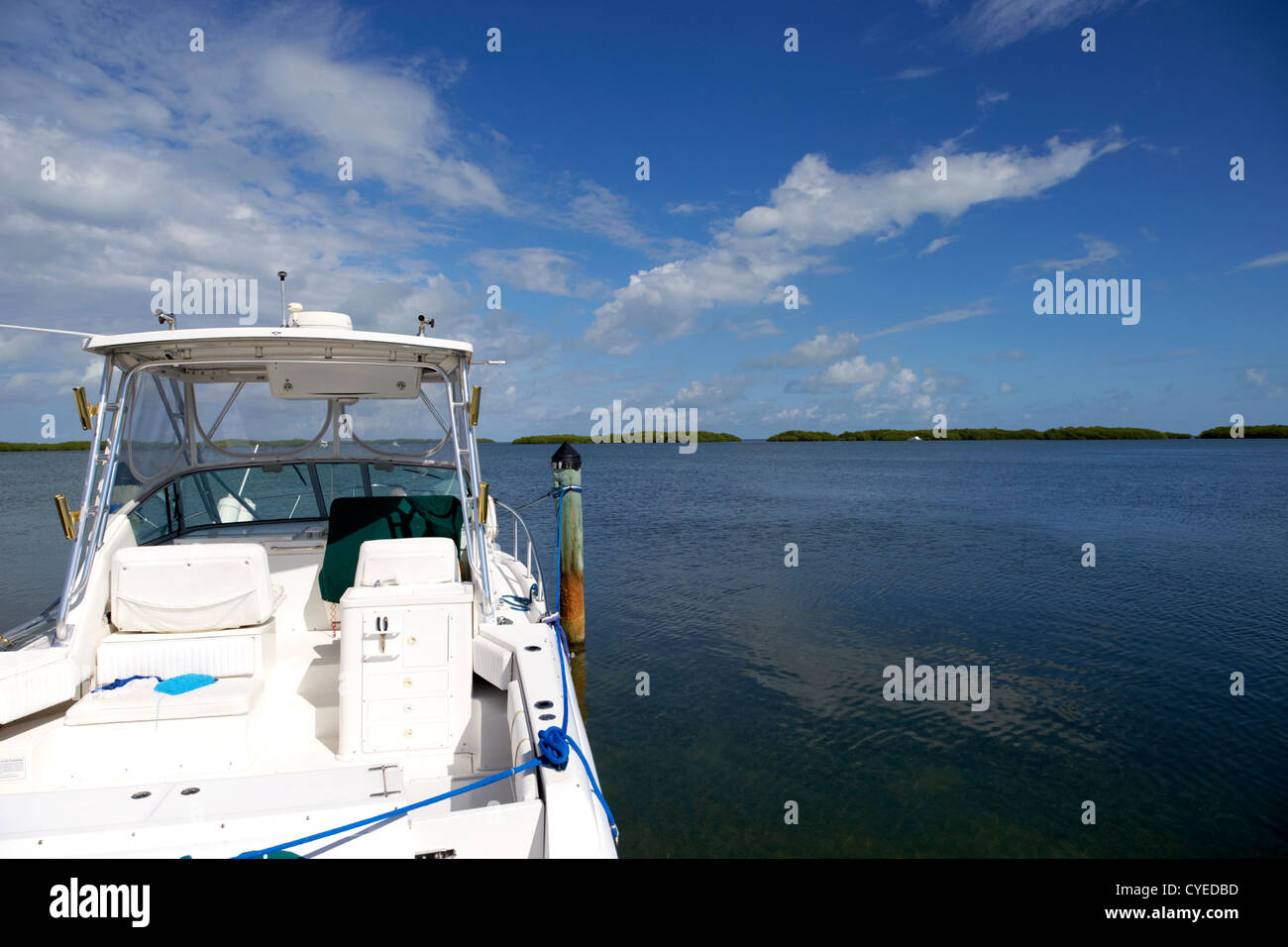 sports boat islamorada florida keys usa Stock Photo - Alamy