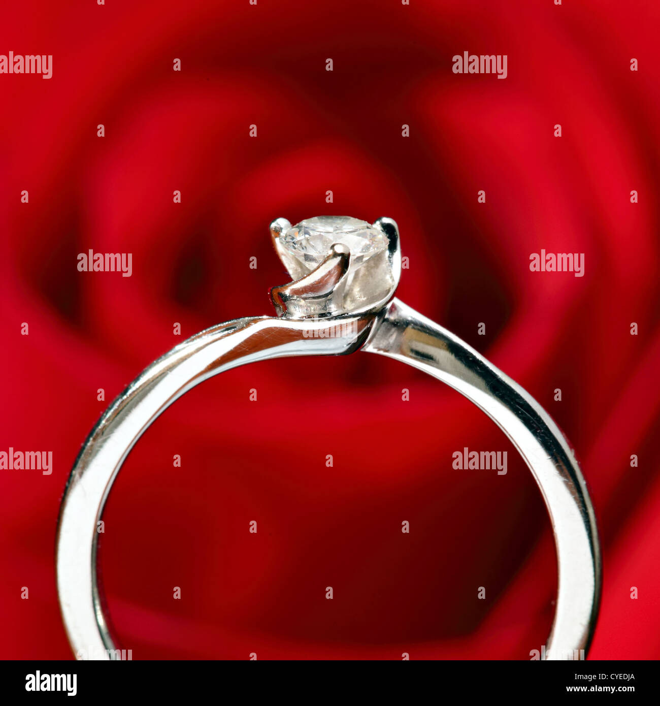 Red rose ring hi-res stock photography and images - Alamy