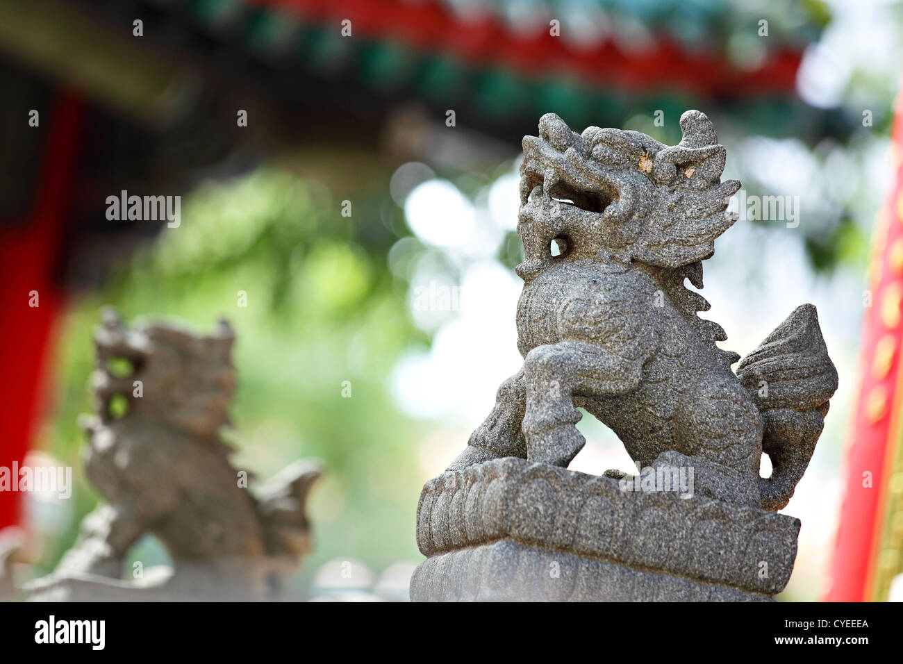 Chinese lion statue Stock Photo - Alamy