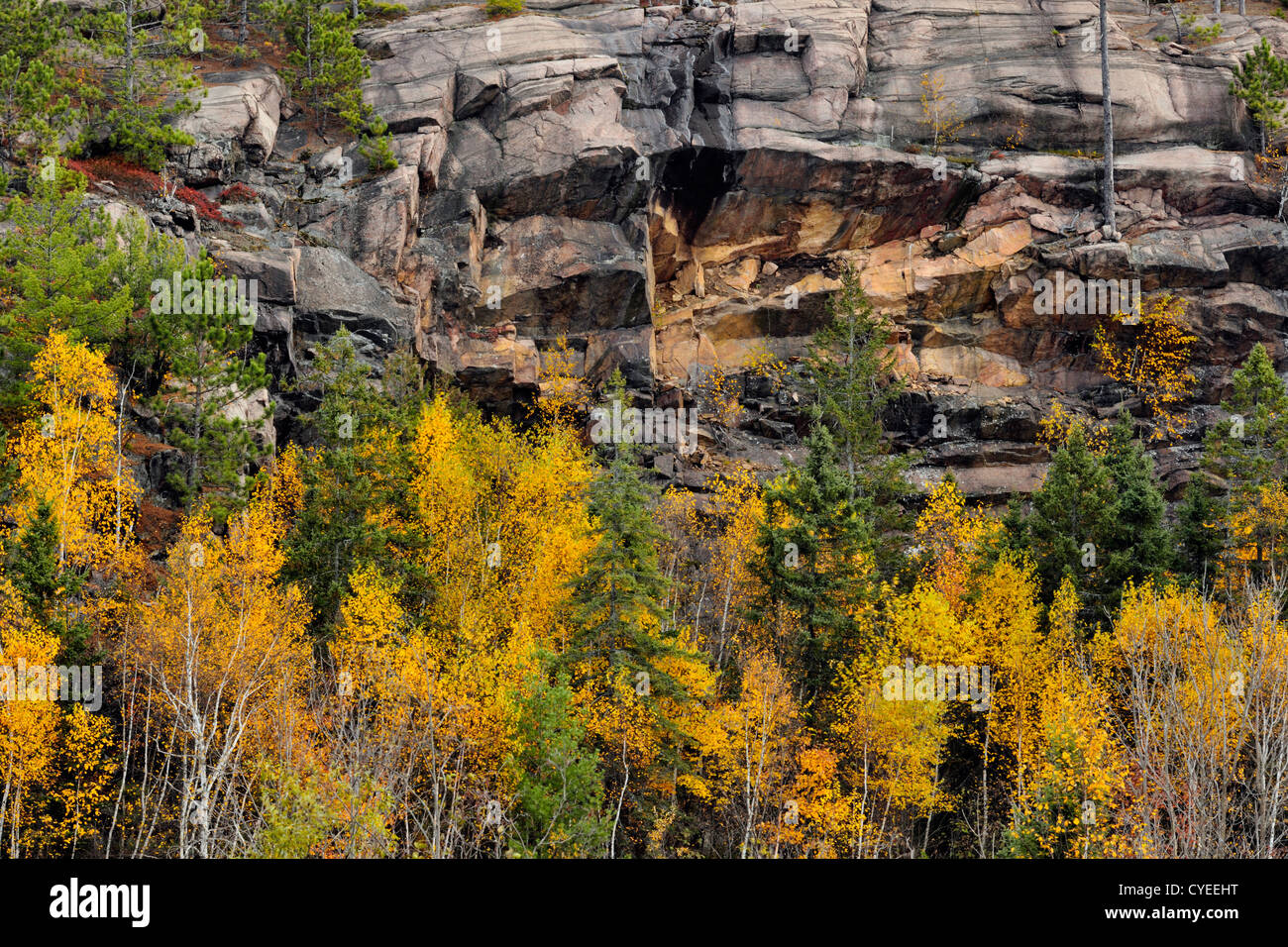 Cliff with pines and birches in autumn, Wanup, Ontario, Canada Stock ...