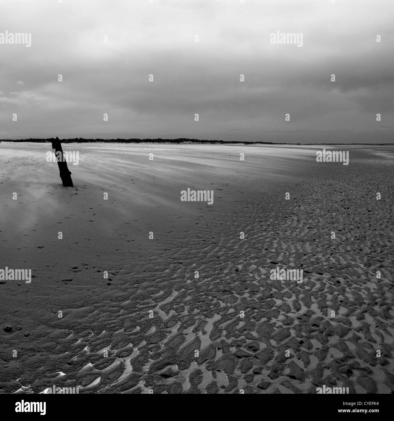 Blowing sand over ripples of beach Stock Photo - Alamy