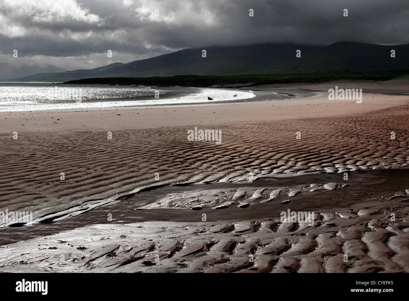 A sandy beach in a windy day at brandon point hi-res stock photography ...