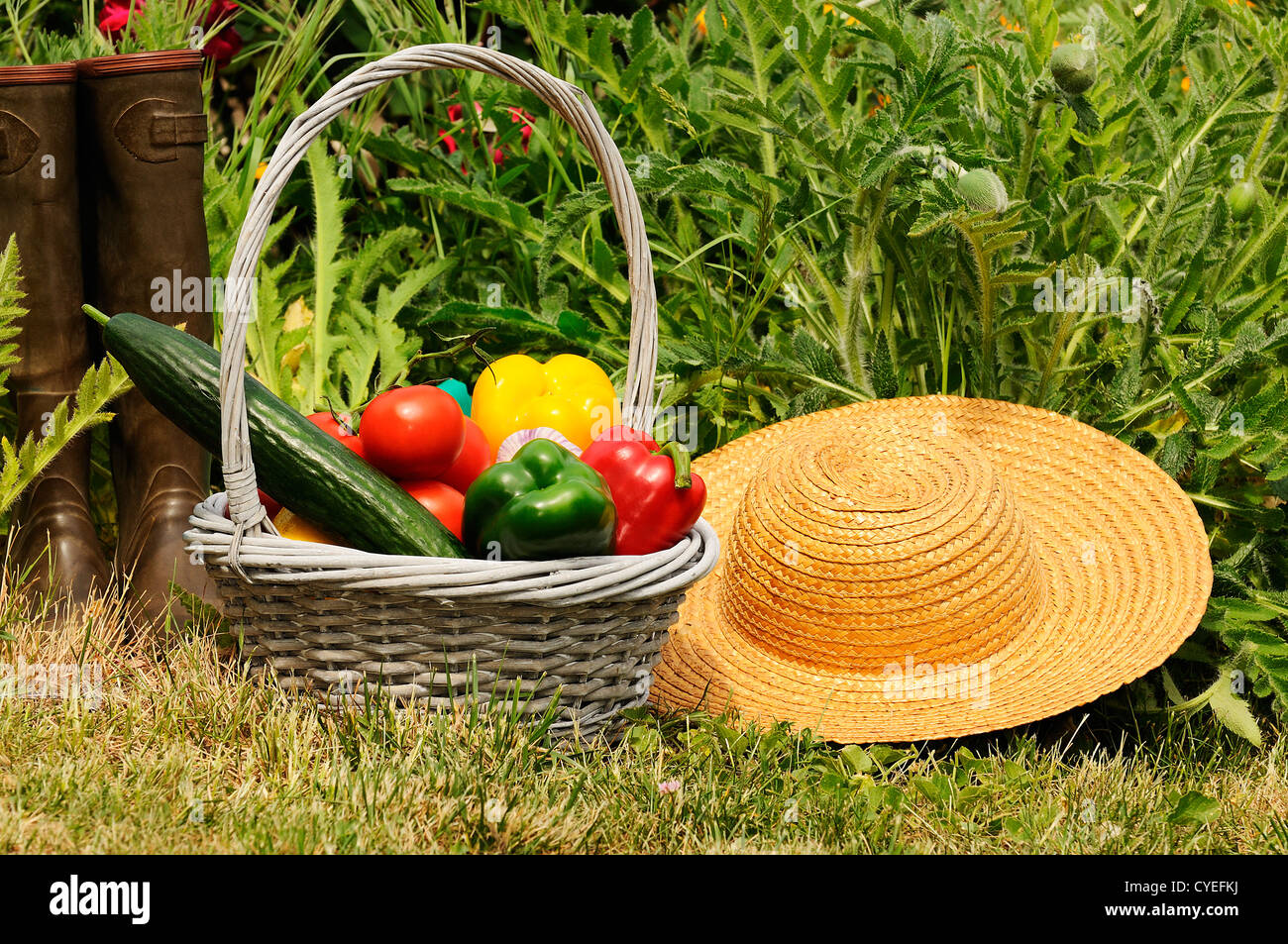 basket of vegetables and in a botanical garden Stock Photo - Alamy