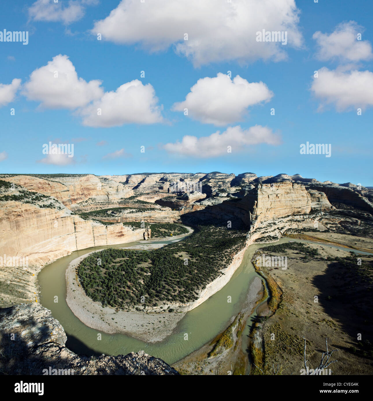 Green river in Dinosaur National Park Stock Photo - Alamy