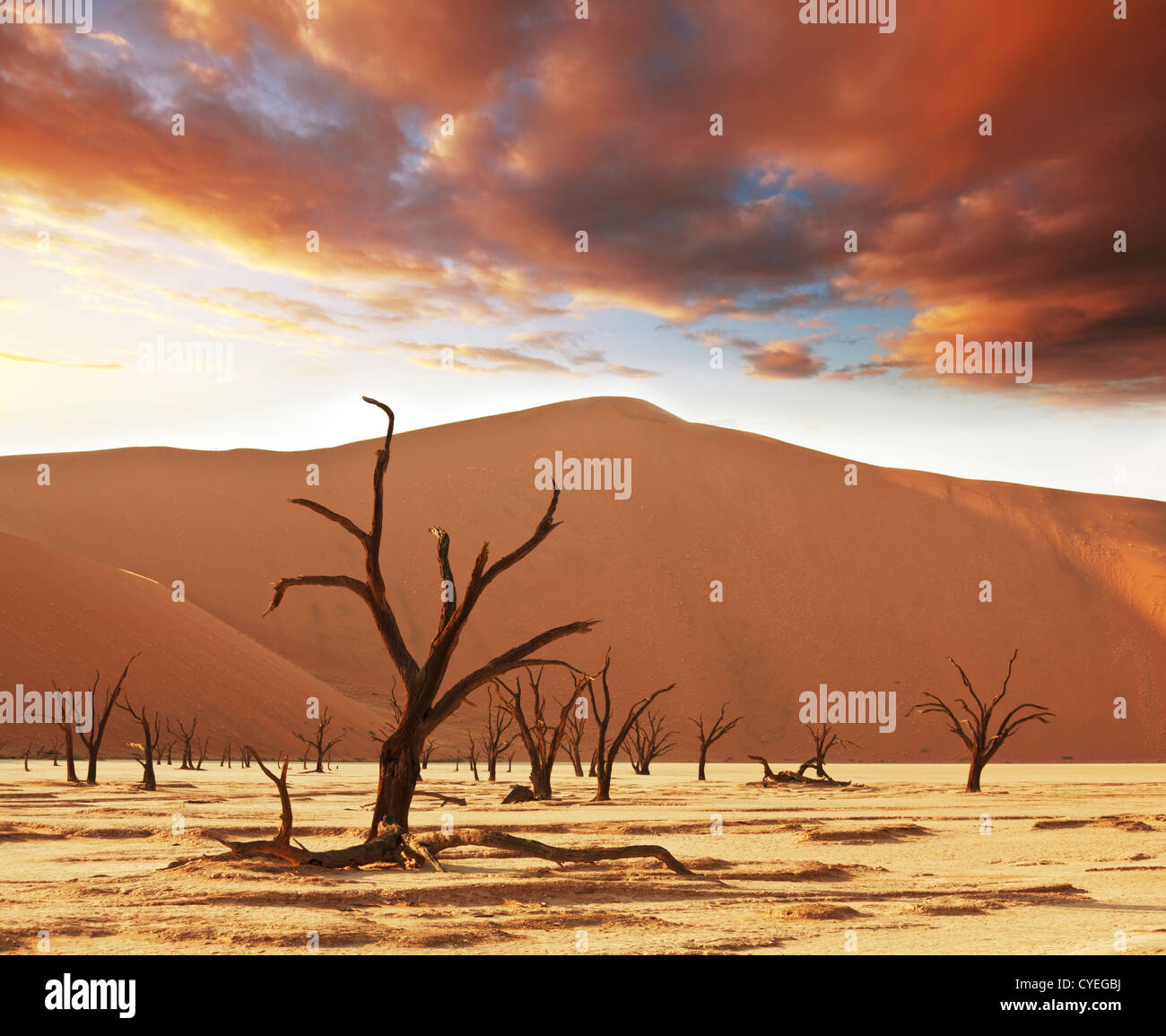 Dead valley in Namibia Stock Photo - Alamy
