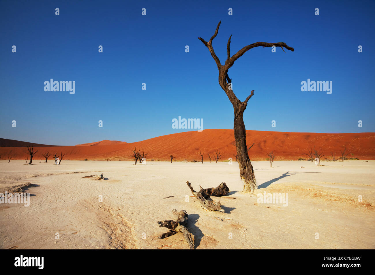 Dead valley in Namibia Stock Photo - Alamy