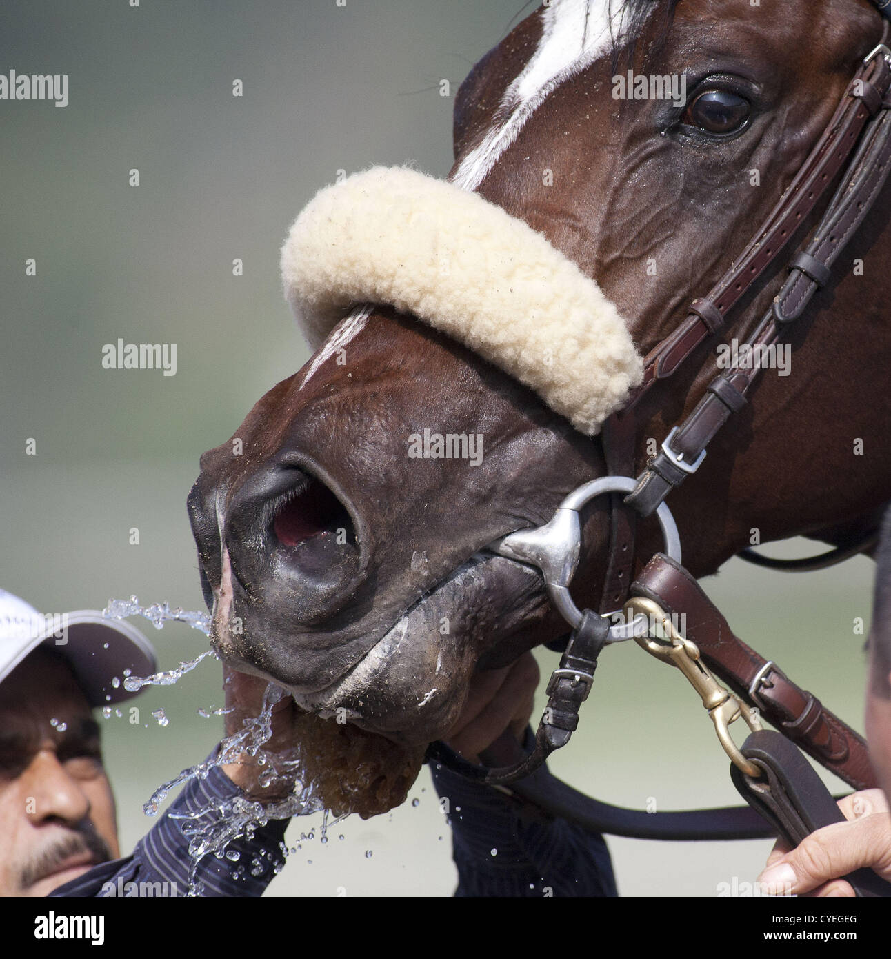 Big bane hi-res stock photography and images - Alamy