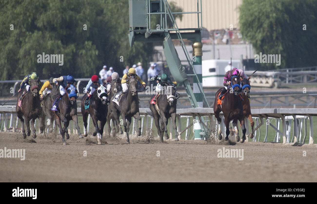 Nov. 2, 2012 - Arcadia, CALIFORNIA, USA - (7) Joseph Talamo rides Big ...