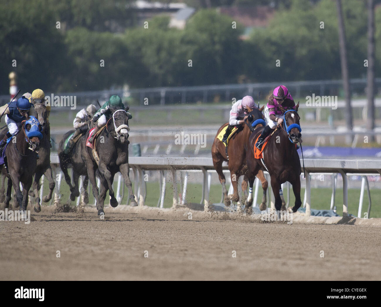Nov. 2, 2012 - Arcadia, CALIFORNIA, USA - (7) Joseph Talamo rides Big ...