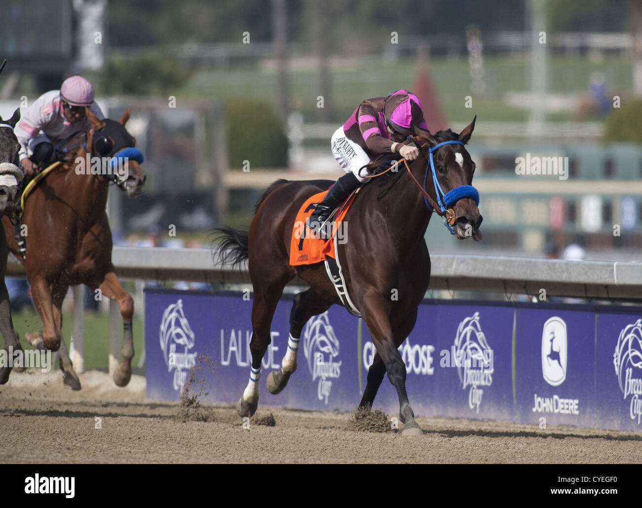 Nov. 2, 2012 - Arcadia, CALIFORNIA, USA - (7) Joseph Talamo rides Big ...