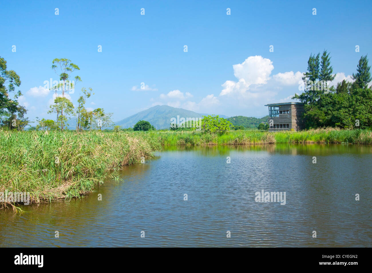 Hong Kong Wetland Park Stock Photo - Alamy