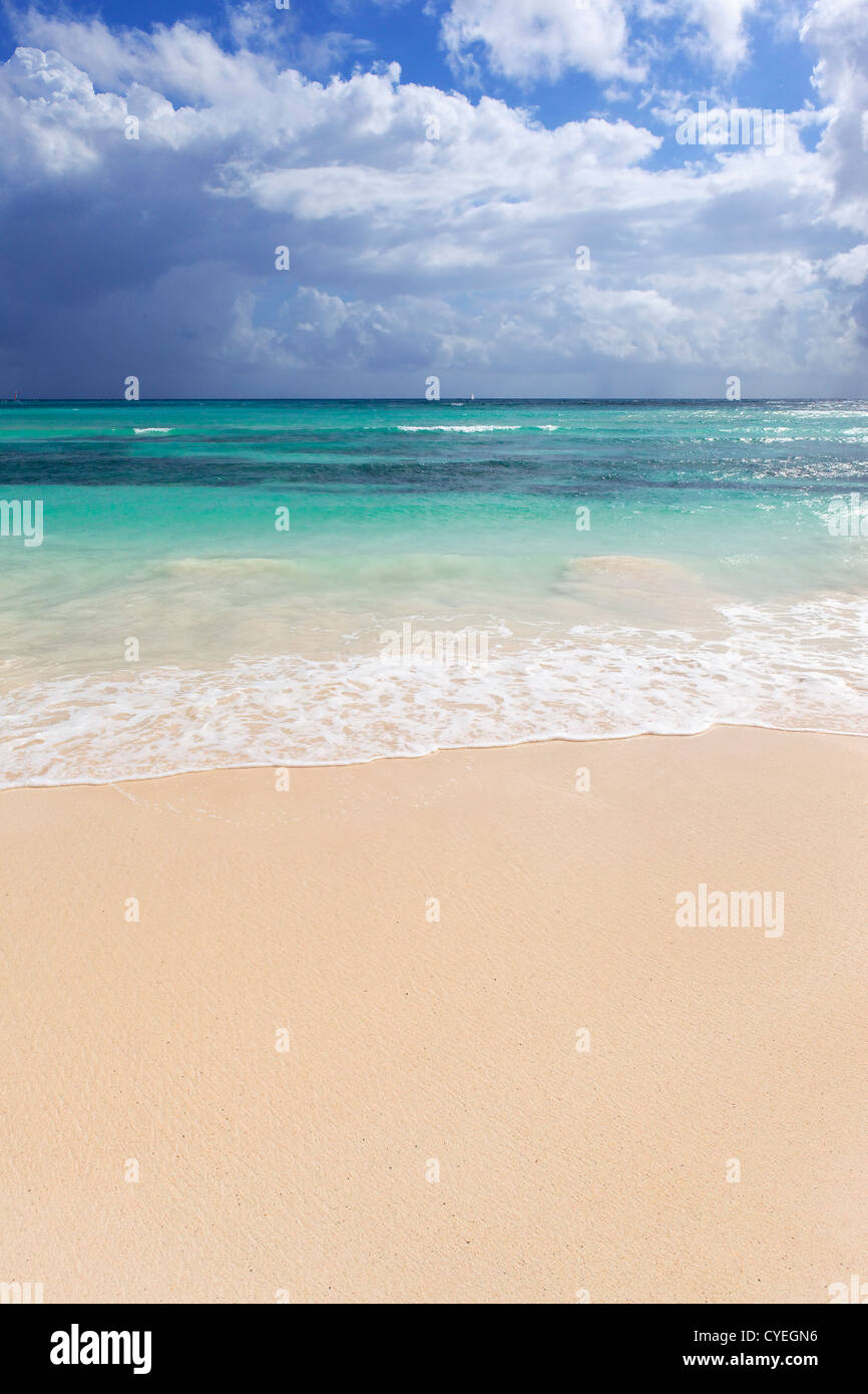 sand of beach on caribbean sea in Mexico Stock Photo - Alamy