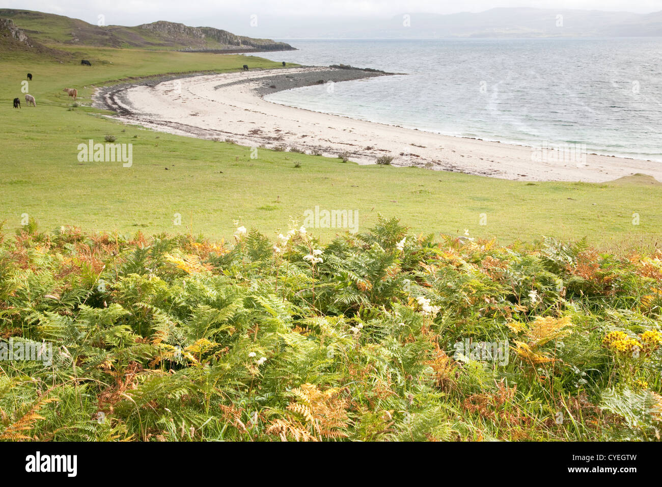 Coral Beaches; Waternish; Isle of Skye; Scotland; UK Stock Photo - Alamy