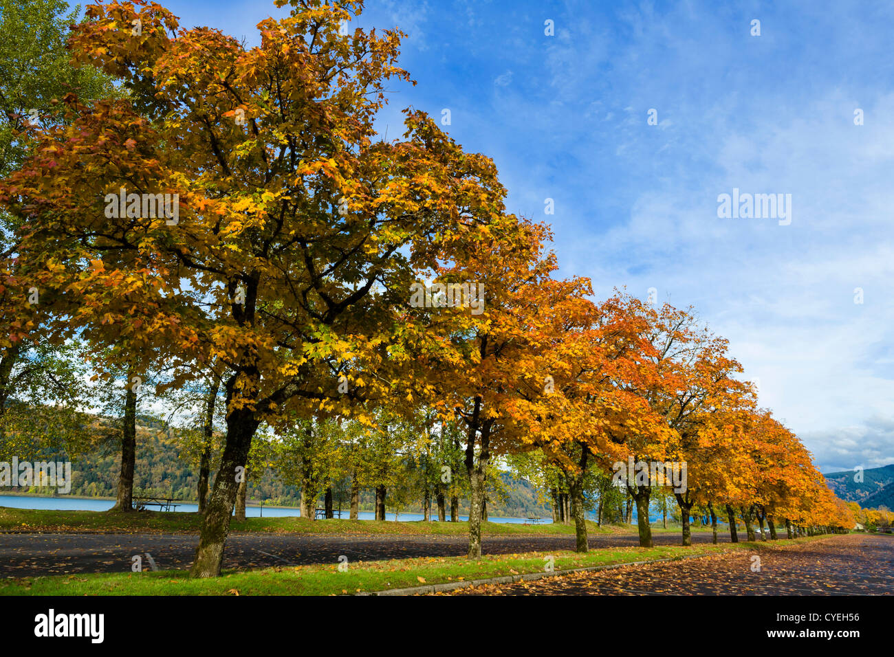 Rooster rock state park hi-res stock photography and images - Alamy