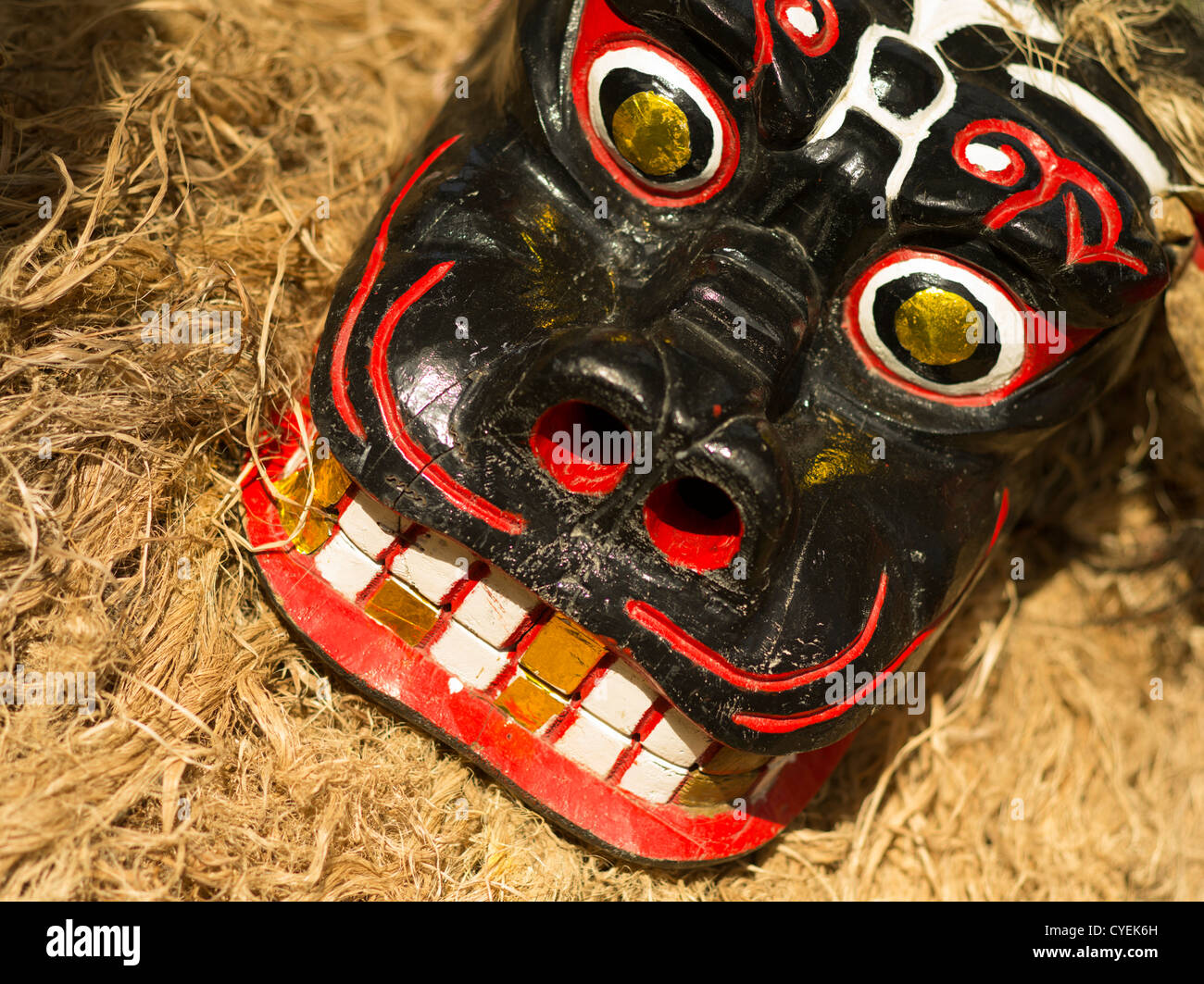 Shishi lion dog mask at Mushaama Harvest Festival Hateruma Island ...