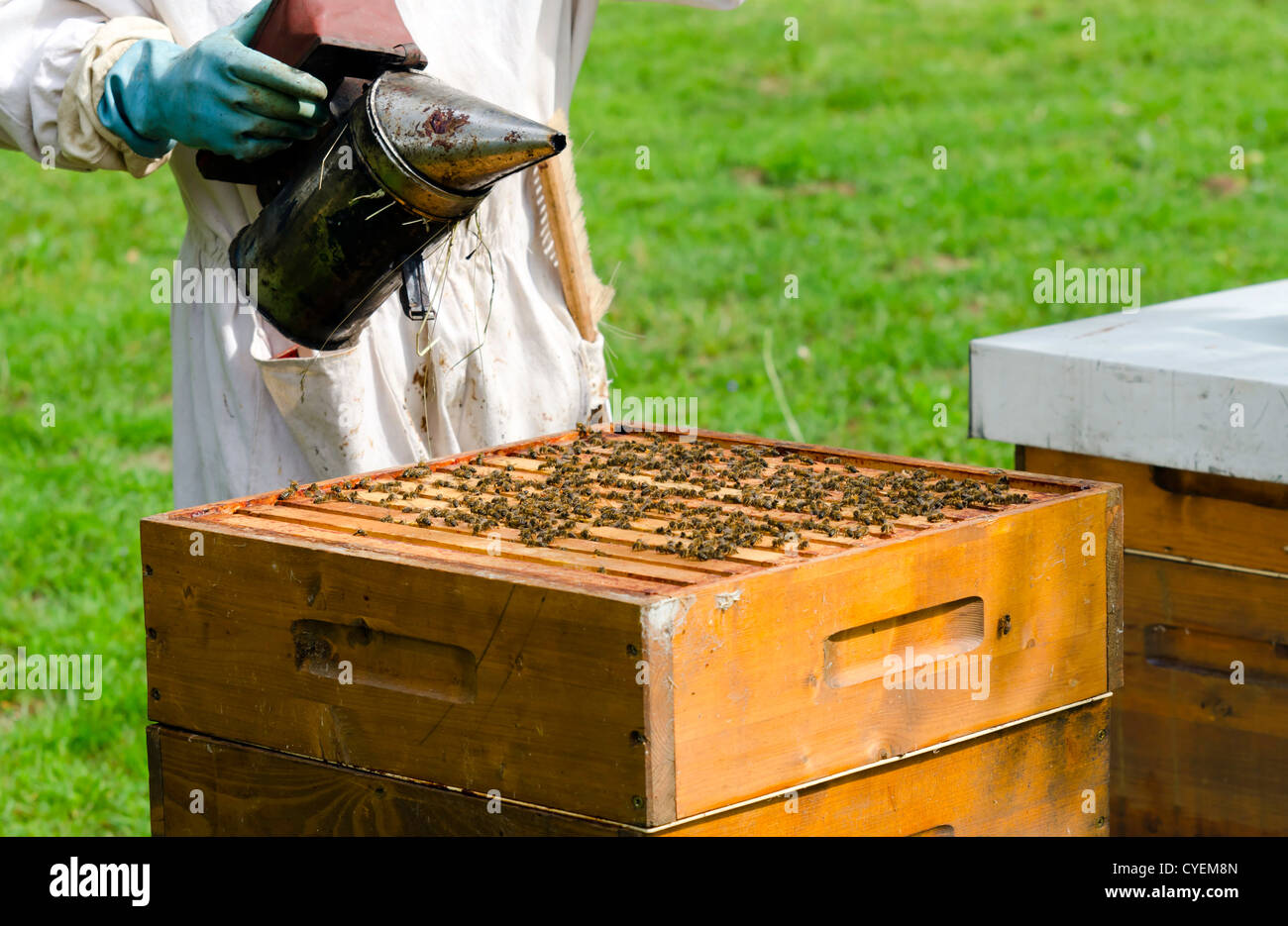 Beekeeper hi-res stock photography and images - Alamy