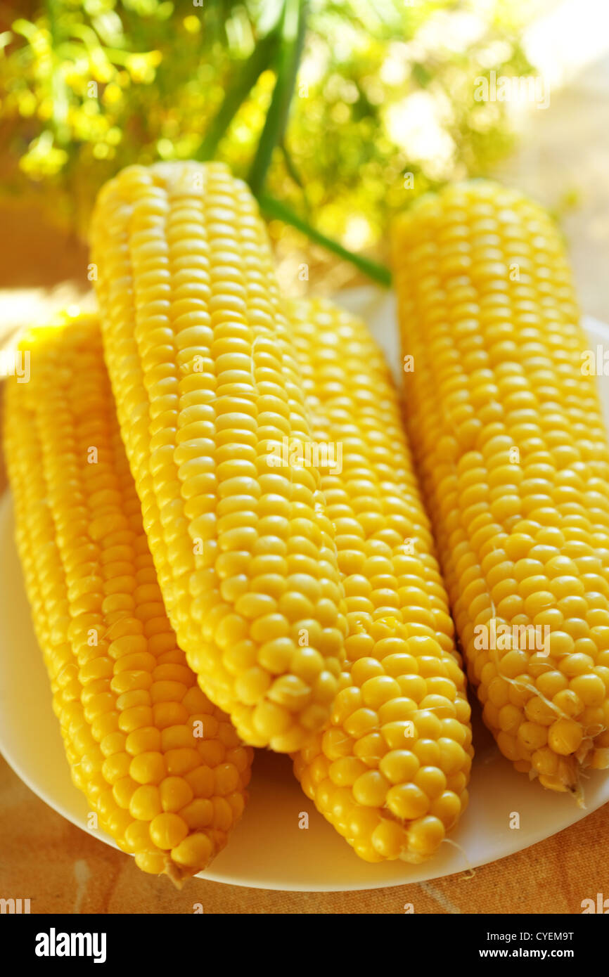 Cooked sweet corn hi-res stock photography and images - Alamy