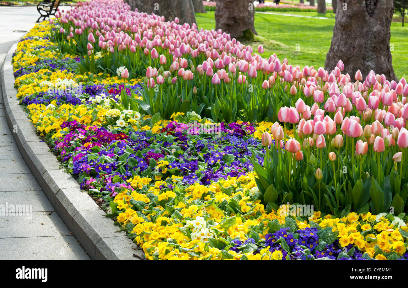 Spring in the garden Stock Photo - Alamy