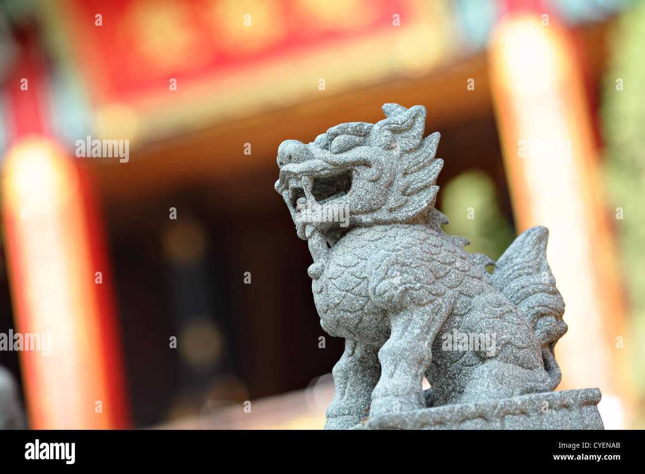Chinese lion statue Stock Photo - Alamy