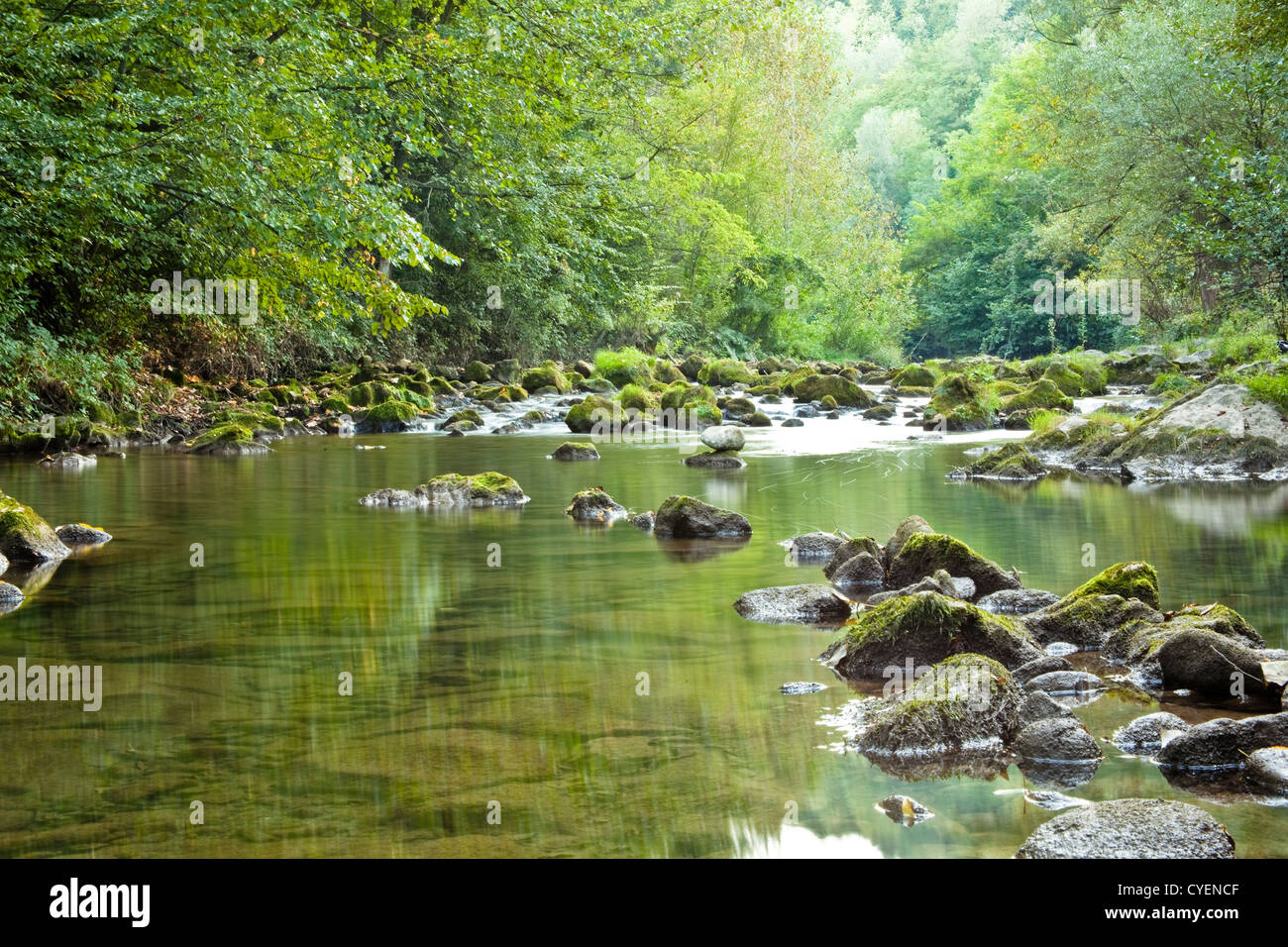 Smal River In Mountain Forest Stock Photo - Alamy