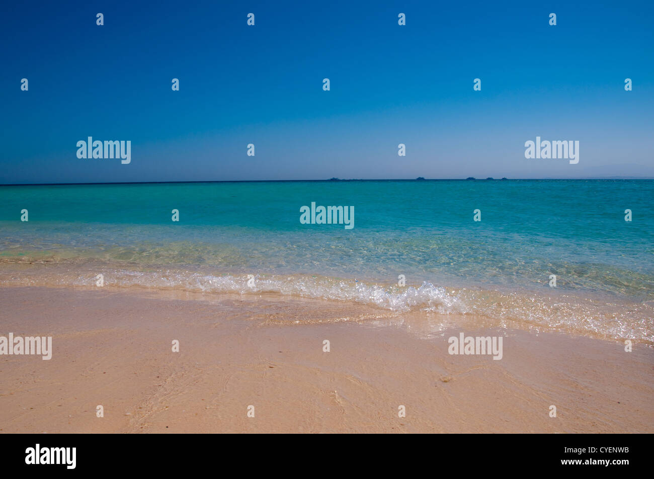 Beautiful blue shore of the Red Sea close up Stock Photo - Alamy