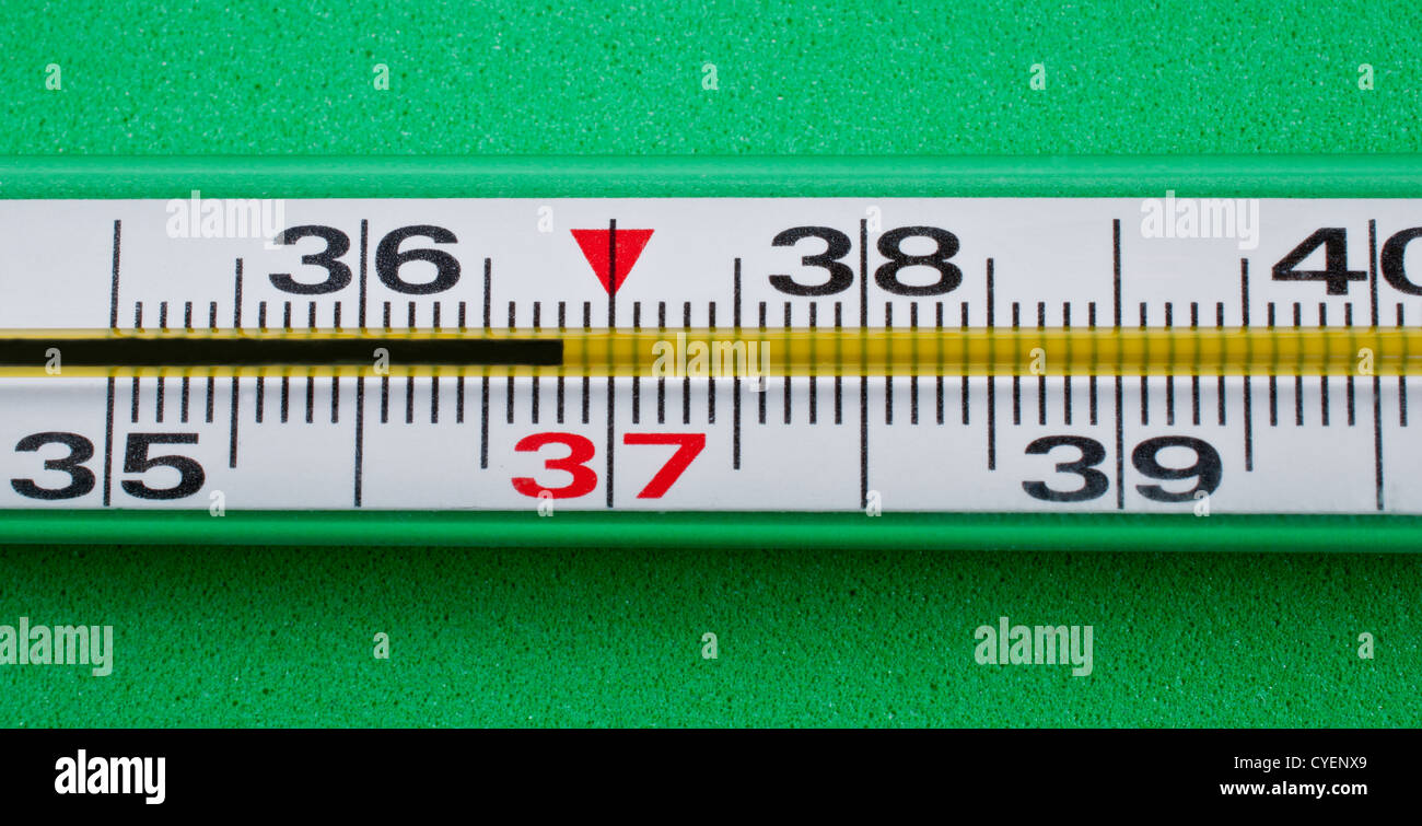 Thermometer close up on green background Stock Photo - Alamy