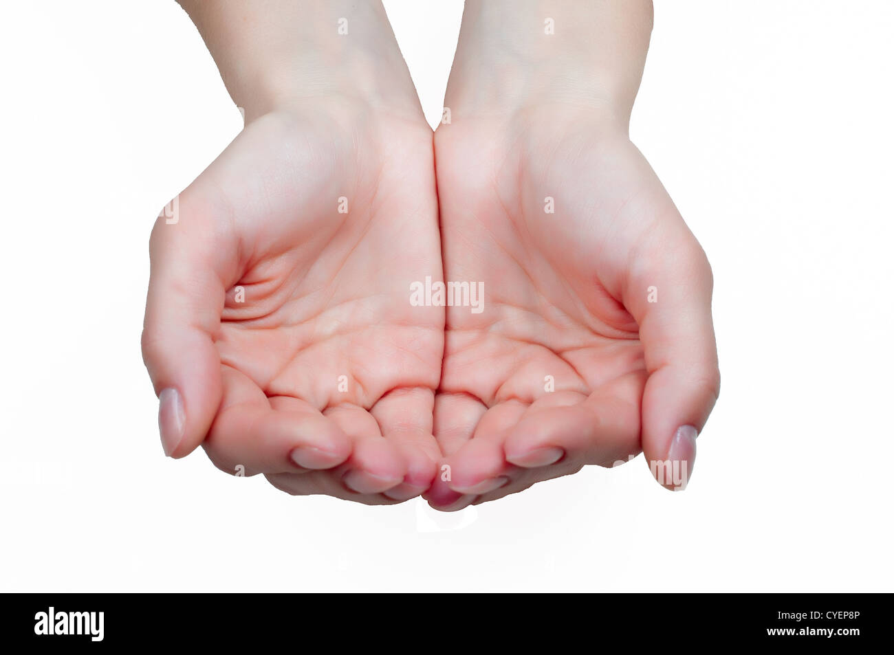 Empty palms isolated on white background Stock Photo - Alamy Empty palms isolated on white background Stock Photo - Alamy