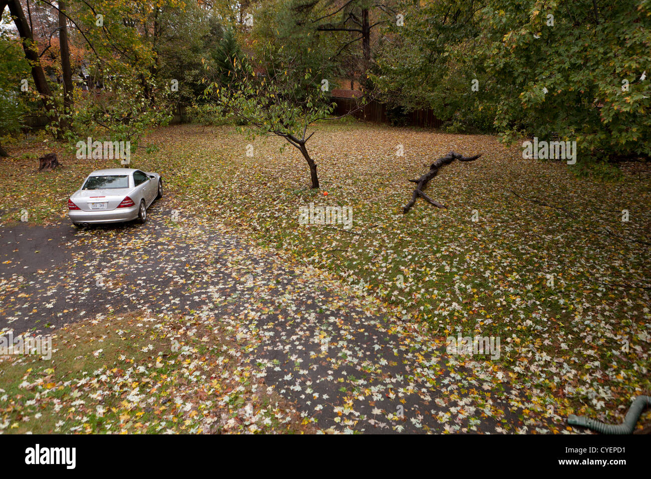 After storm hi-res stock photography and images - Alamy
