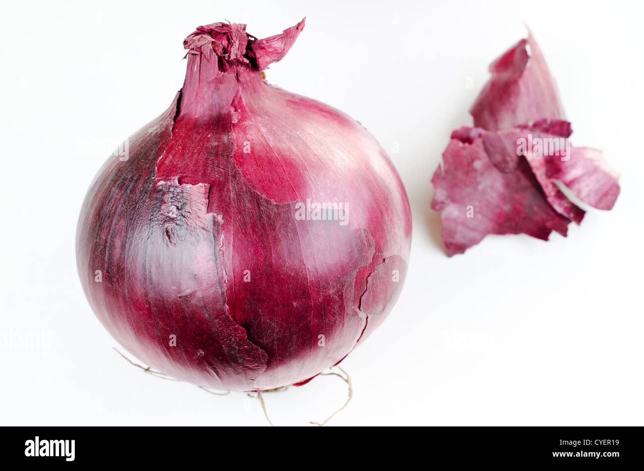Vidalia onion hi-res stock photography and images - Alamy