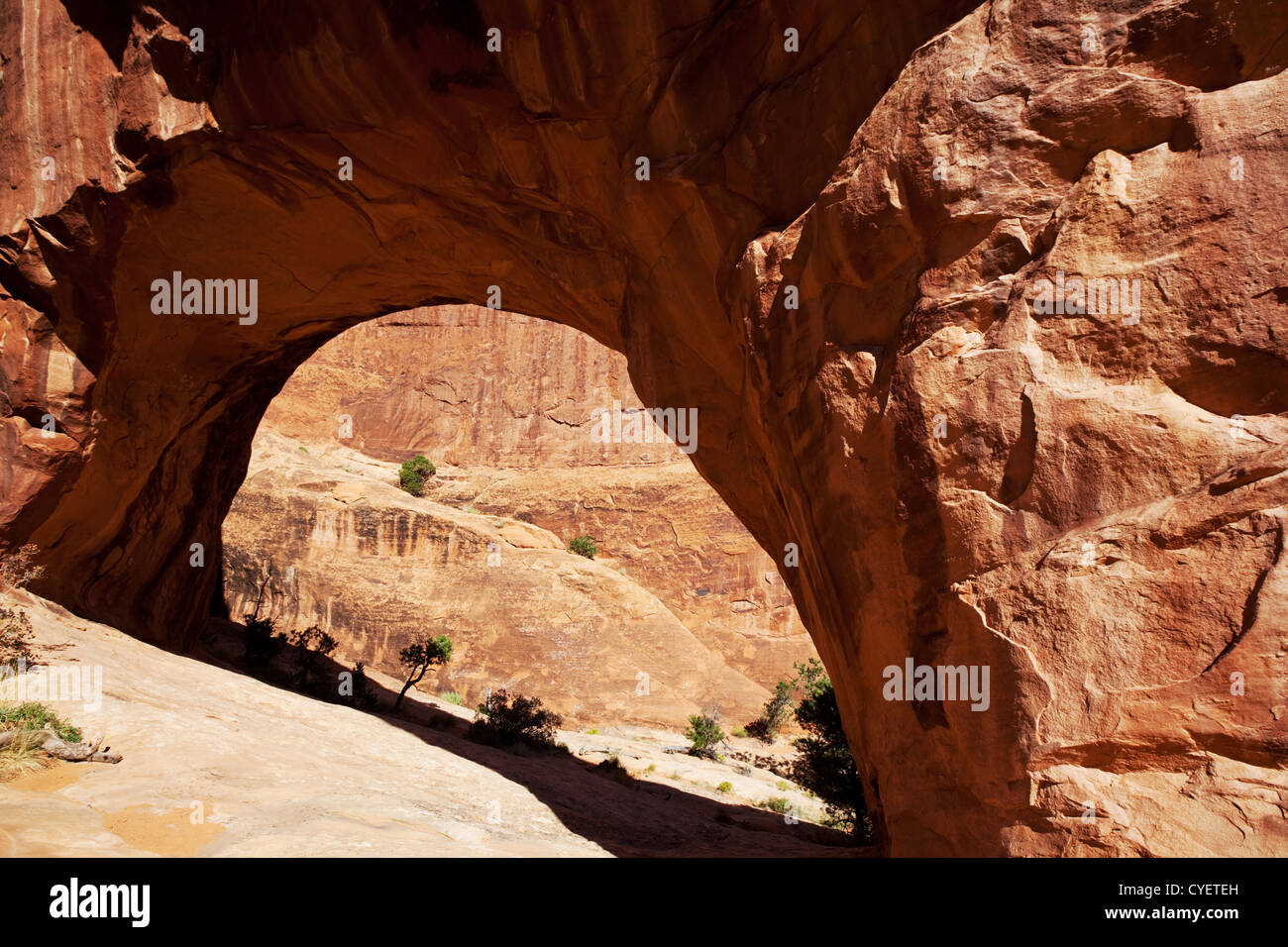 Q Arsh in USA Stock Photo - Alamy