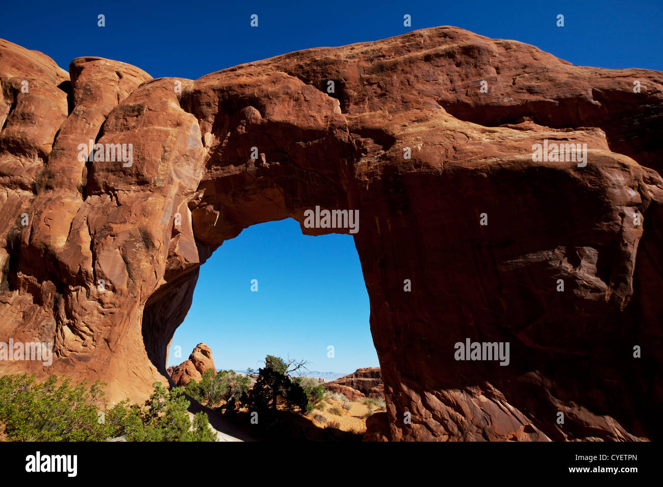 Arsh hi-res stock photography and images - Alamy