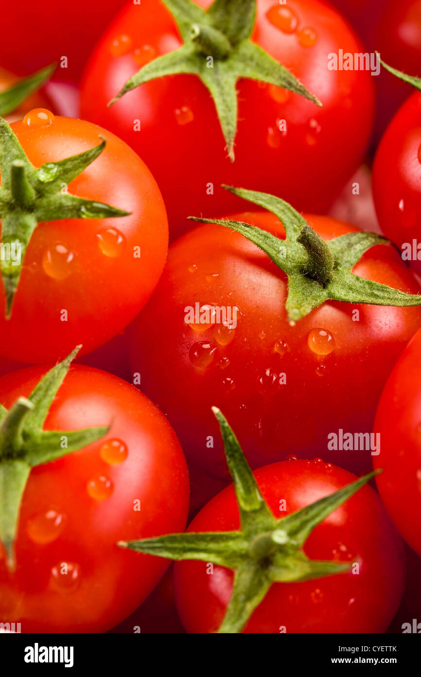 photo of very fresh tomatoes presented on white background Stock Photo ...