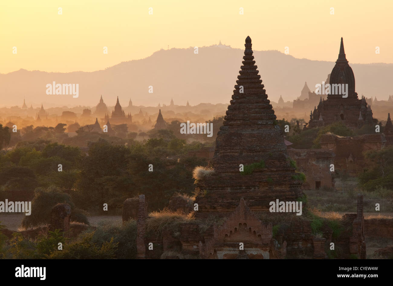 Bagan at sunset in Myanmar Stock Photo - Alamy