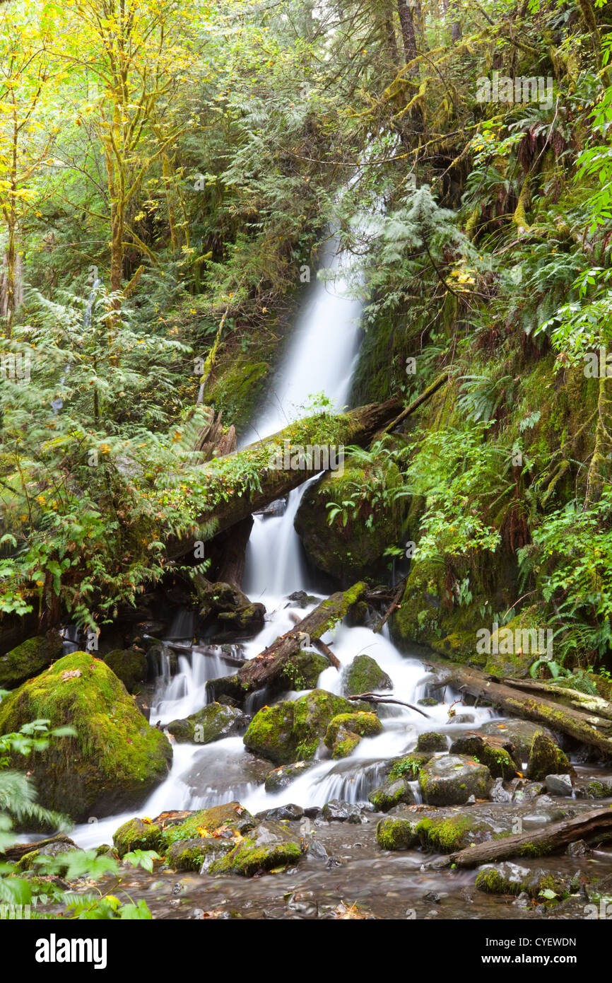 waterfall in Olympic National Park,USA Stock Photo - Alamy