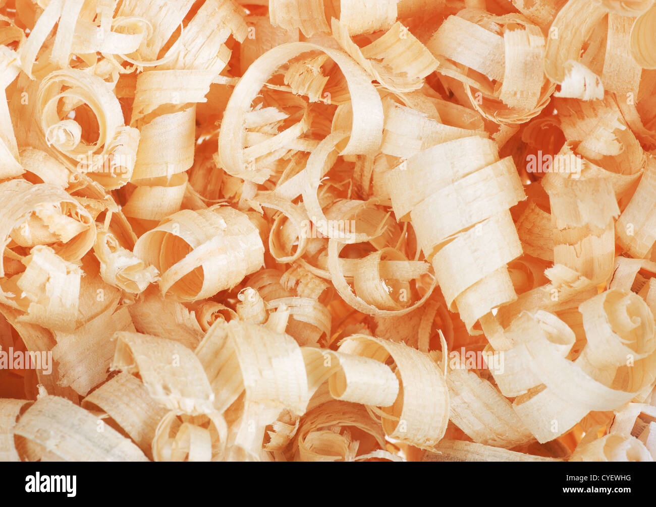Softwood cuttings hi-res stock photography and images - Alamy