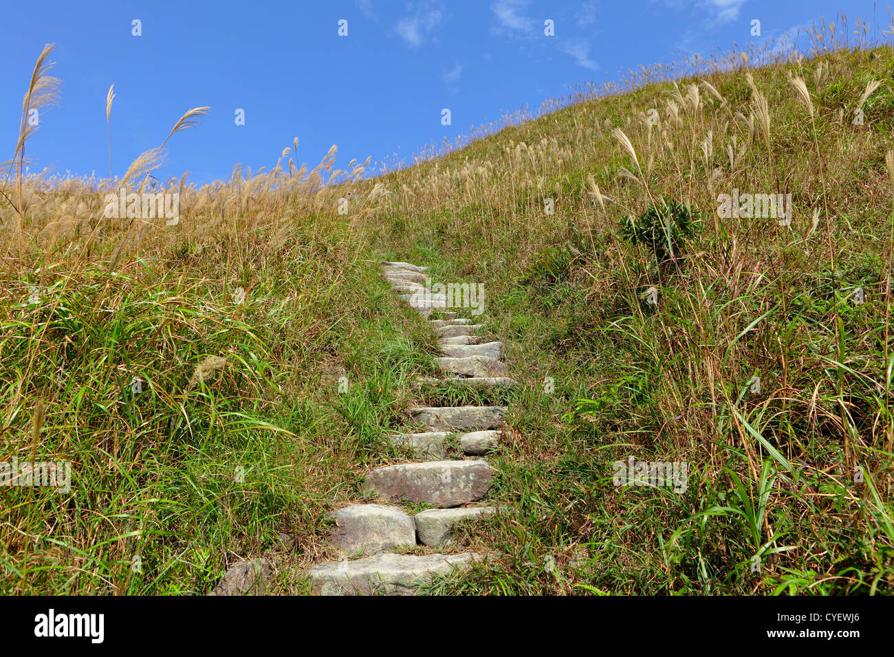 mountain path for hiking Stock Photo - Alamy