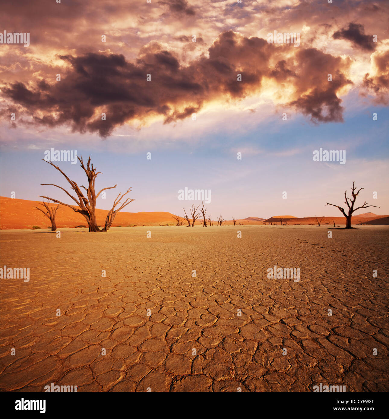 Dead valley in Namibia Stock Photo - Alamy