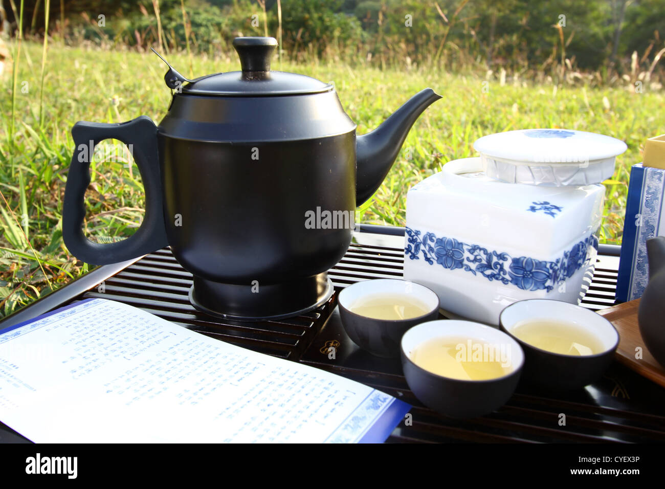 Asian tea set on grasses Stock Photo - Alamy