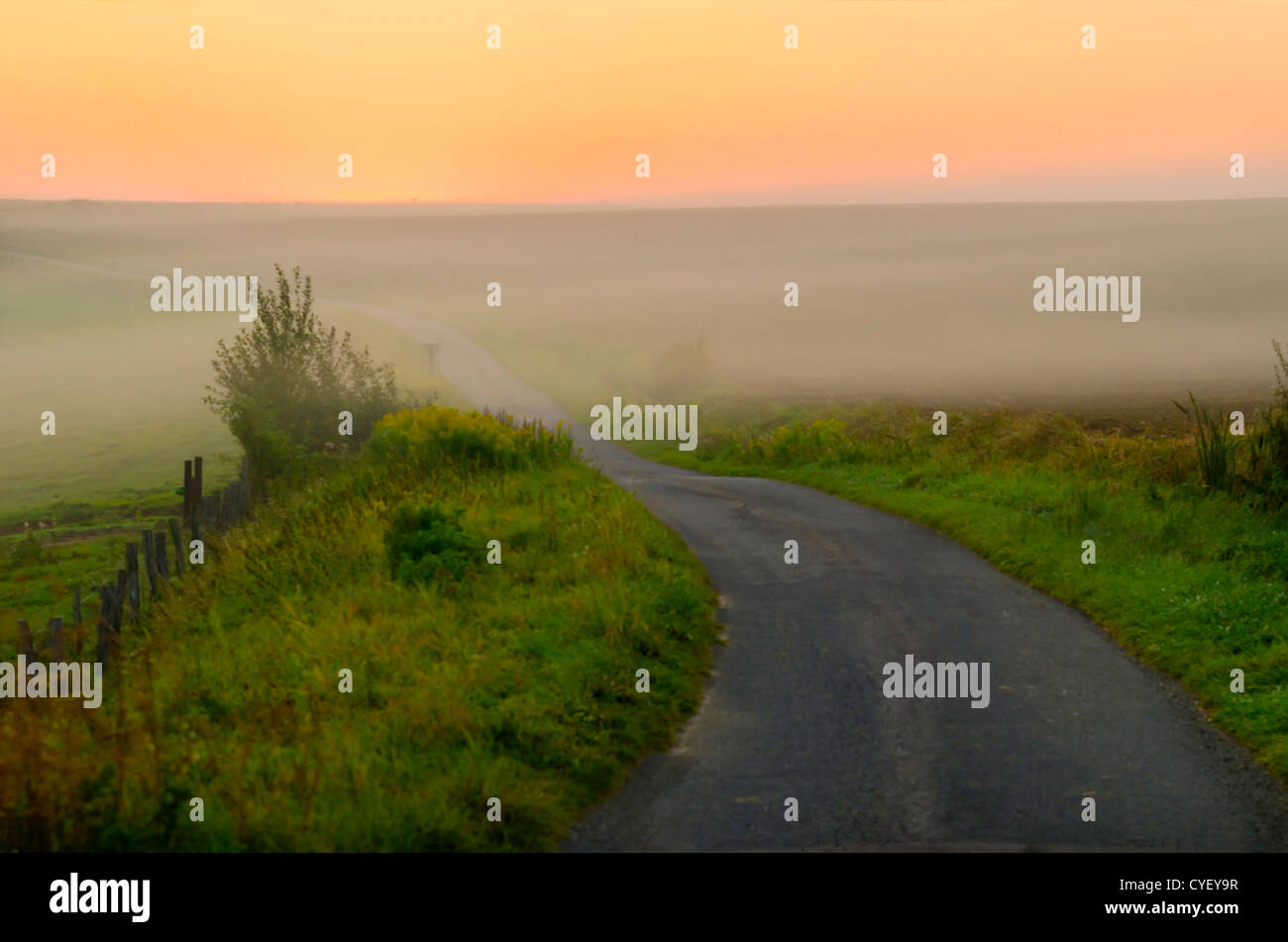 Lane of light hi-res stock photography and images - Alamy