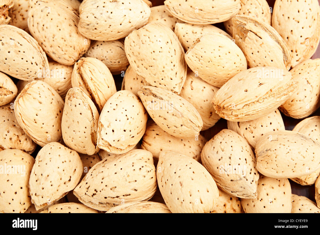 almond nut with shell Stock Photo - Alamy