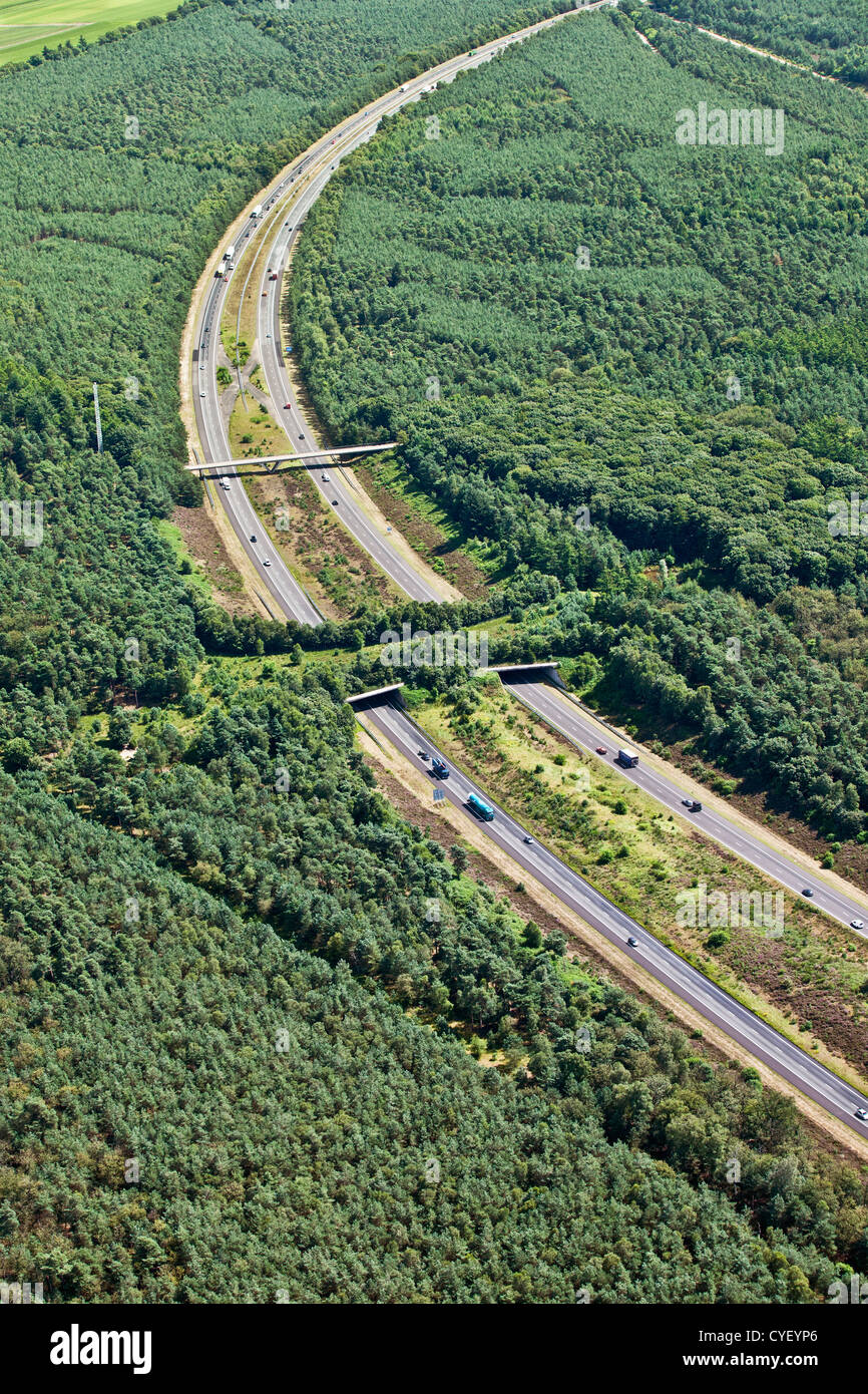 Ecoduct crossing highway High Resolution Stock Photography and Images ...