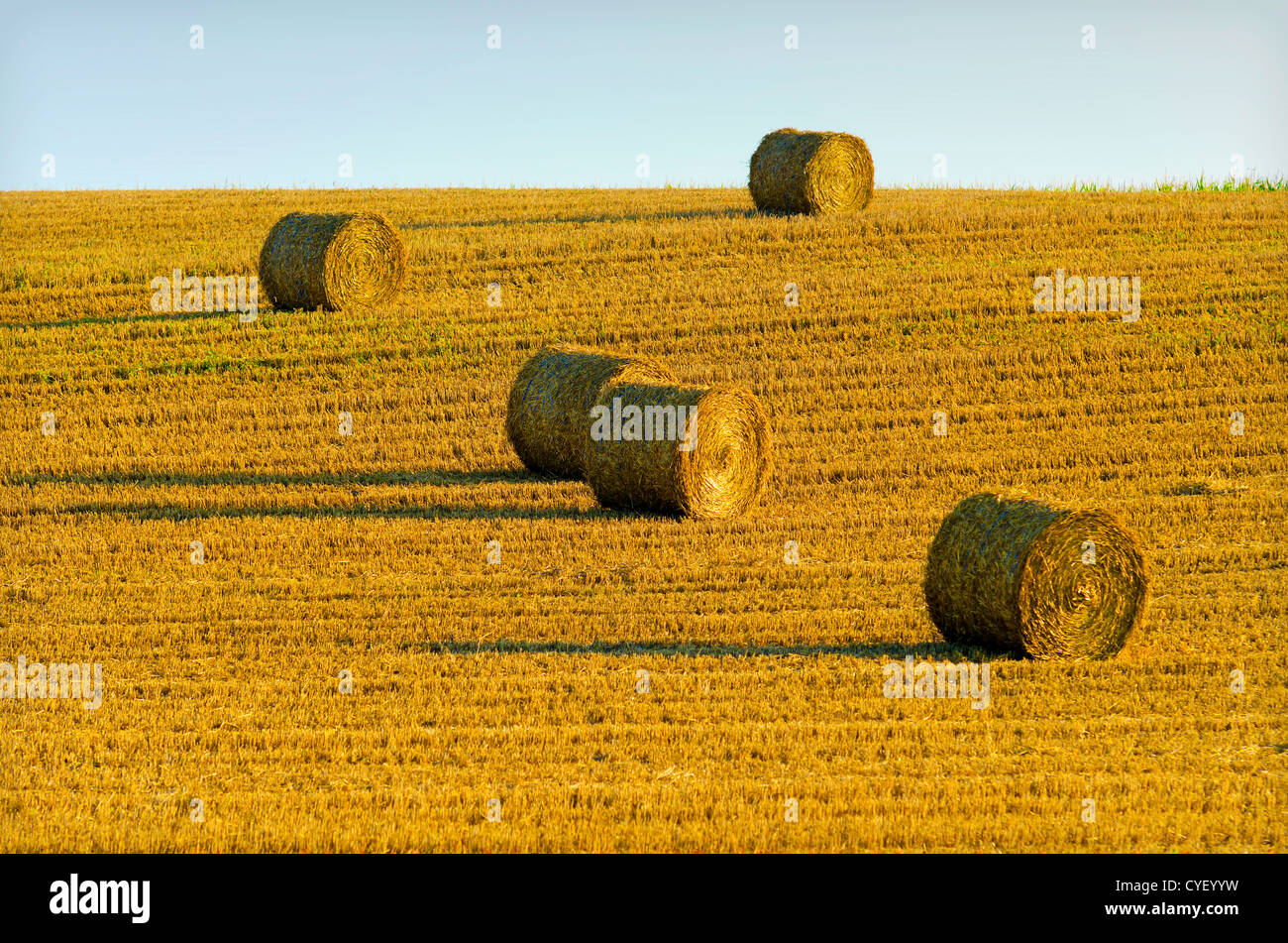 Straw ball hi-res stock photography and images - Alamy